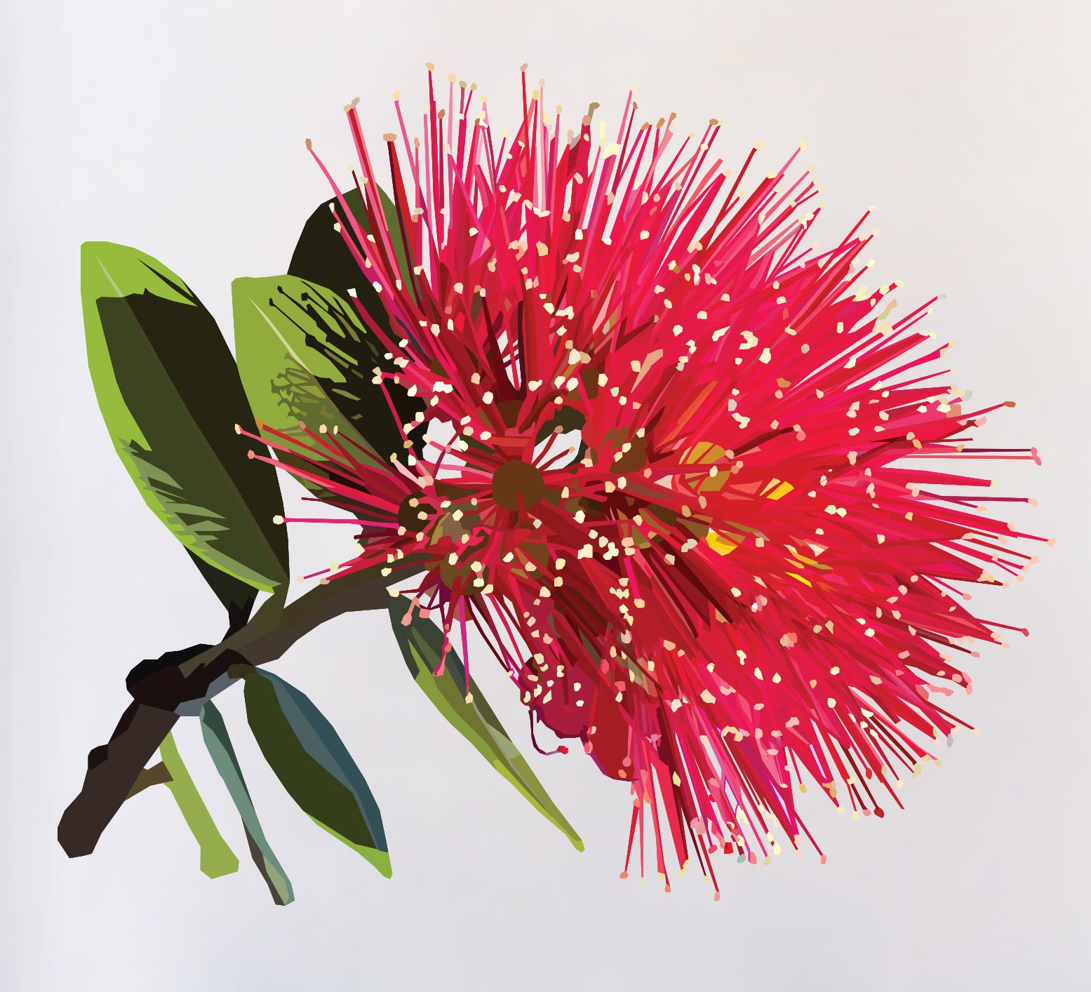 Pohutukawa Flower Wall Decal – YDS STUDIO