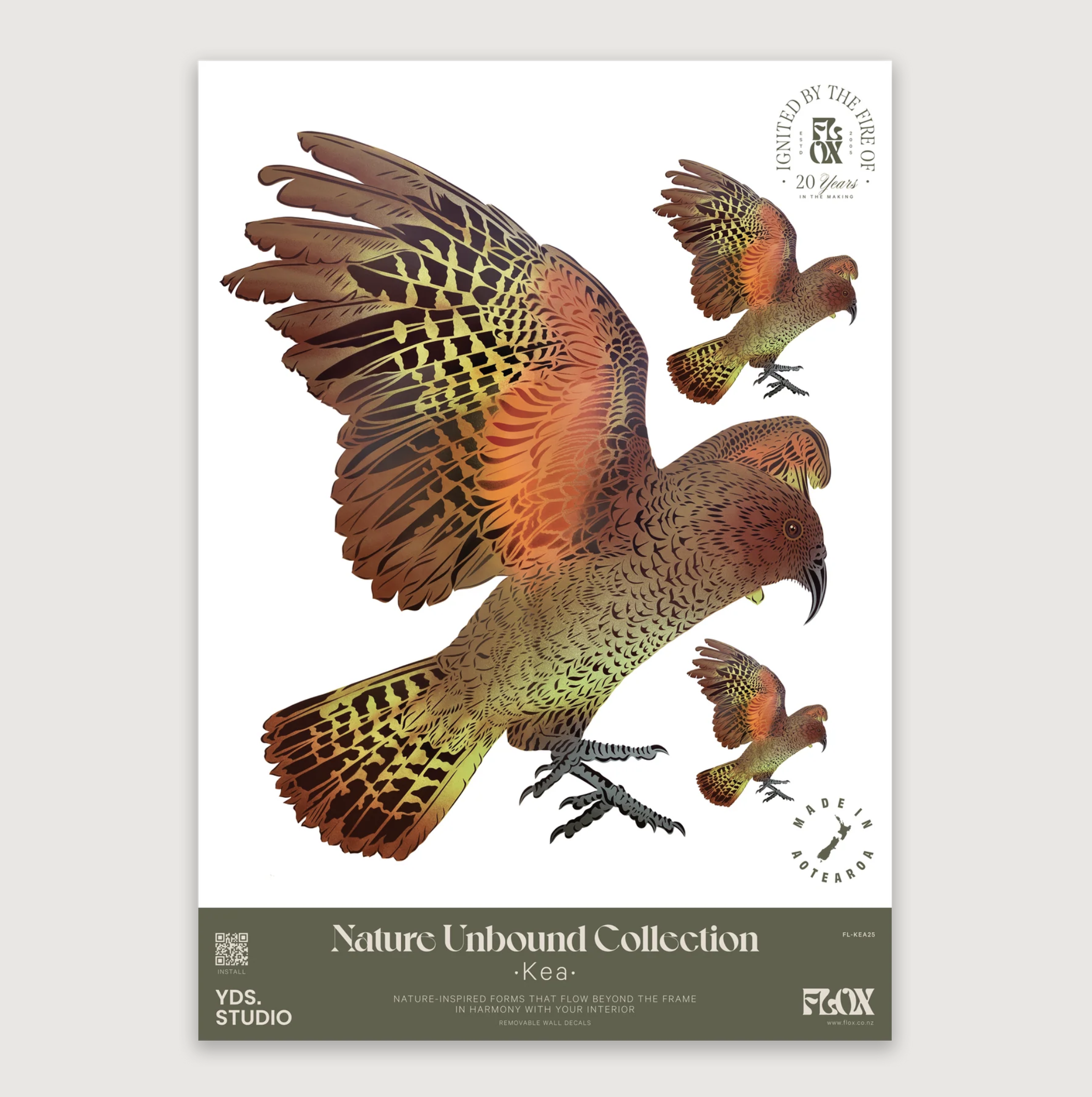 Kea Wall Decal A2 - Made in NZ – YDS STUDIO