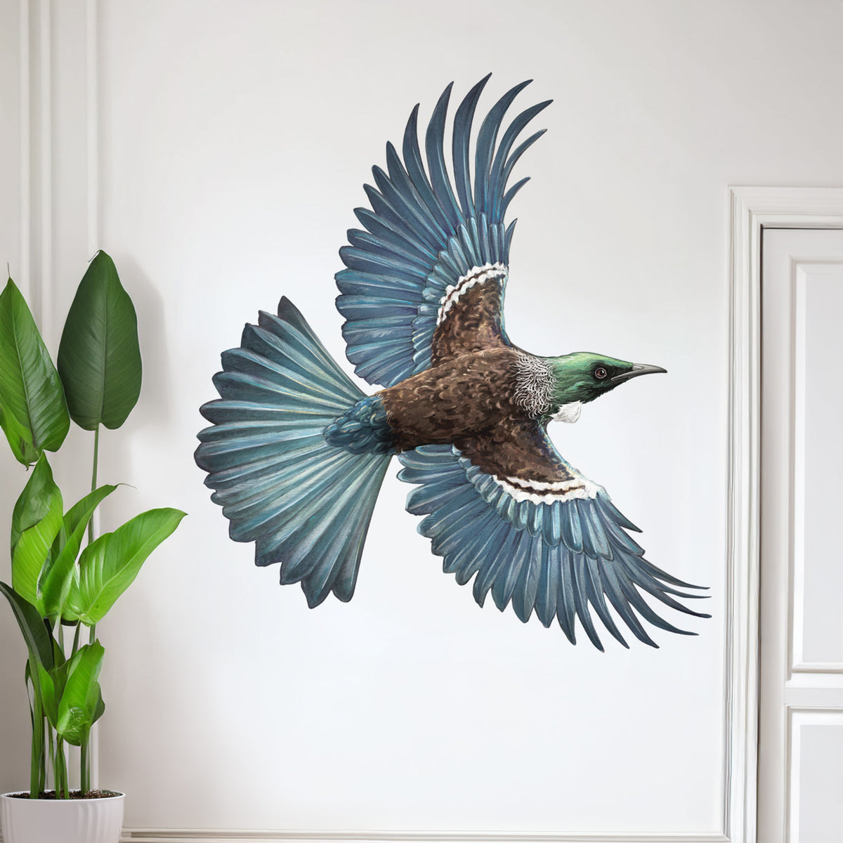 Tui Kaha – YDS STUDIO