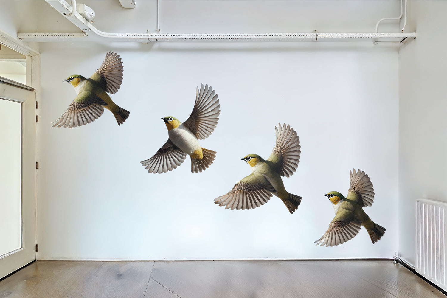 Flying Waxeyes wall decal nz – YDS STUDIO