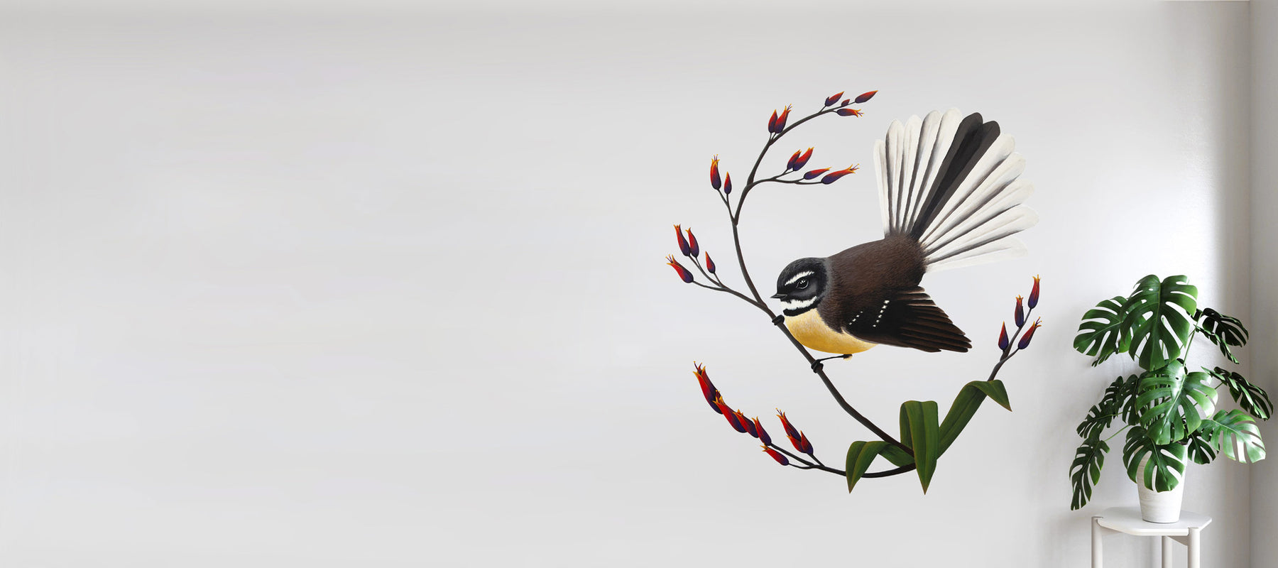 NZ Wall Decals & Custom Signage | YDS Studio
