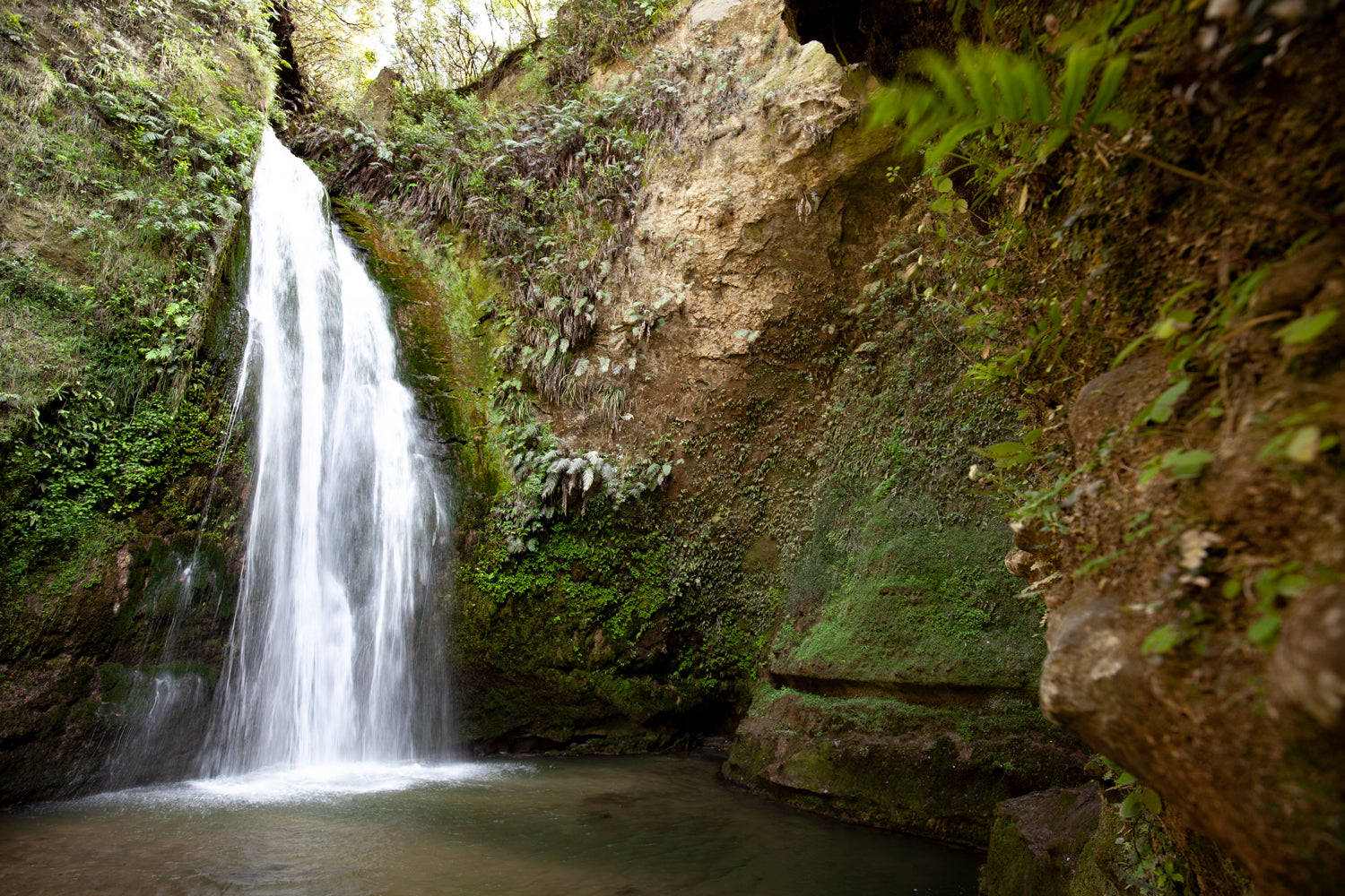 NZ Waterfall Mural 2 – YDS STUDIO