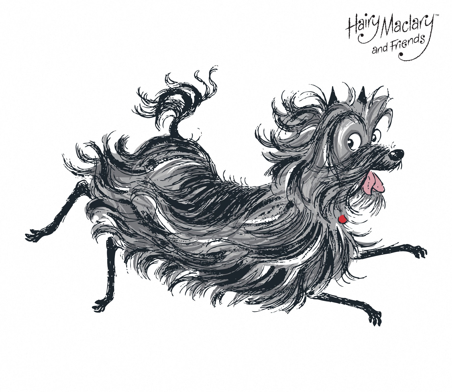 Hairy Maclary – YDS STUDIO