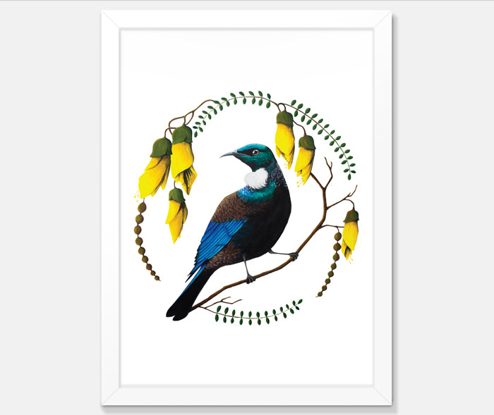Tui in Kowhai Art Print – YDS STUDIO