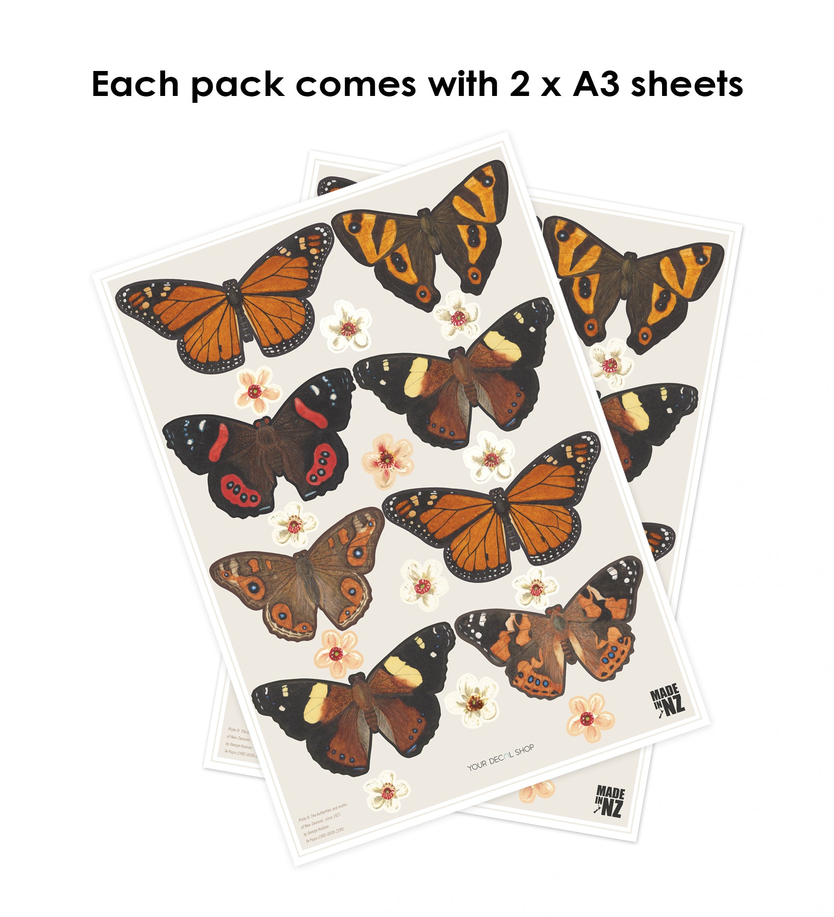 NZ Native Butterflies and Manuka Flowers – YDS STUDIO