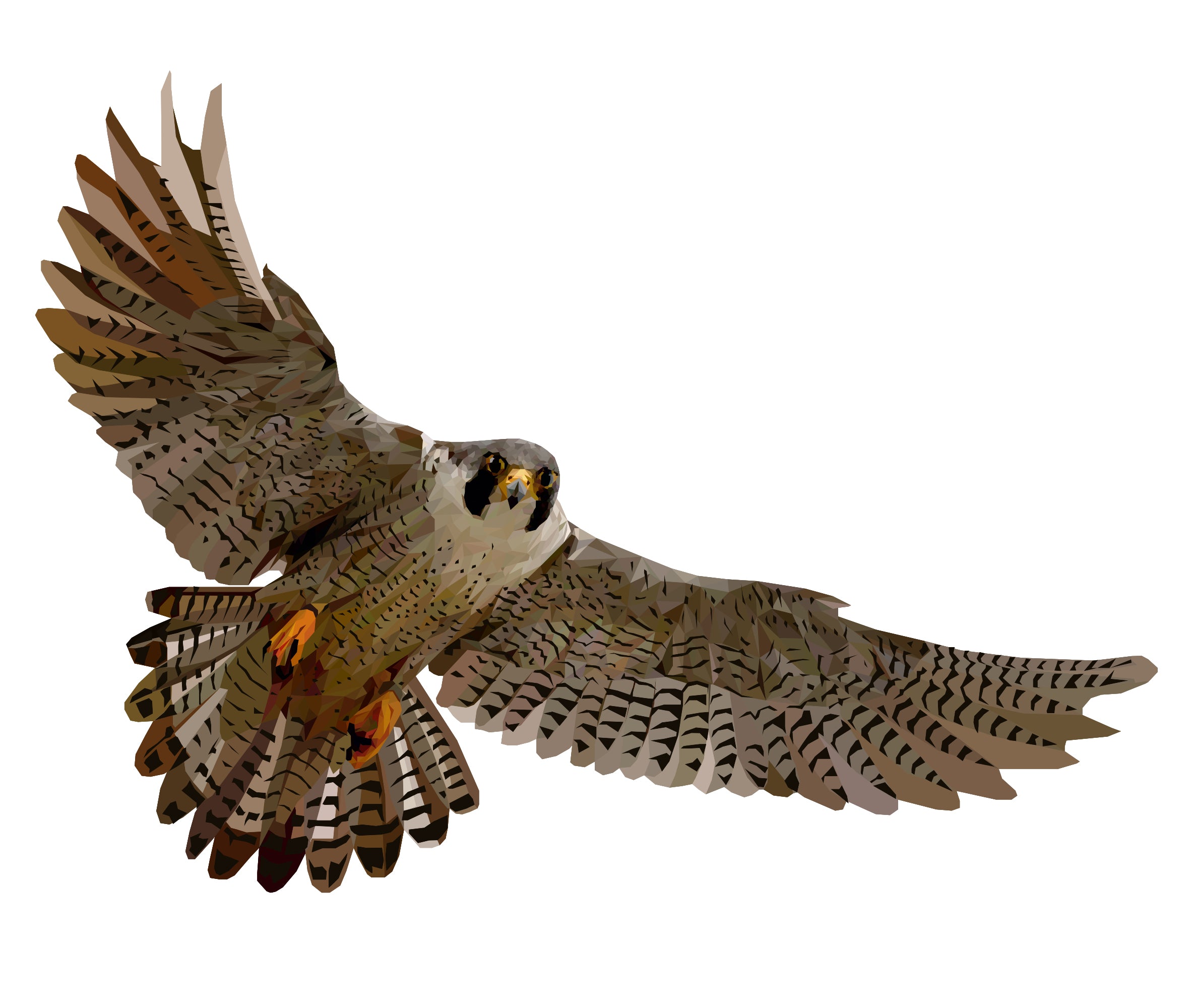 Falcon Wall Decal – YDS STUDIO