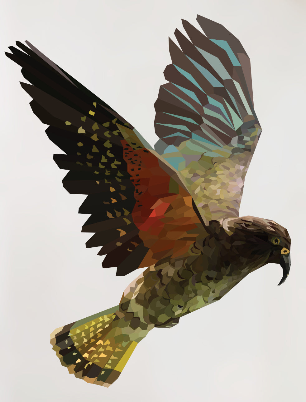 Geometric Kea Wall Decal – YDS STUDIO