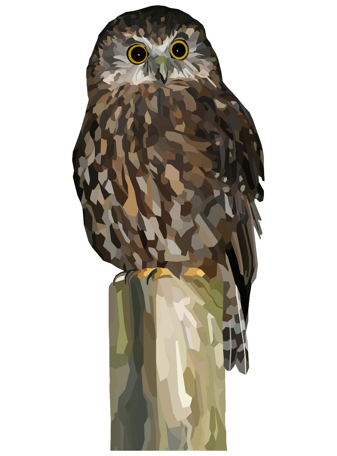 Morepork Wall Decal – YDS STUDIO