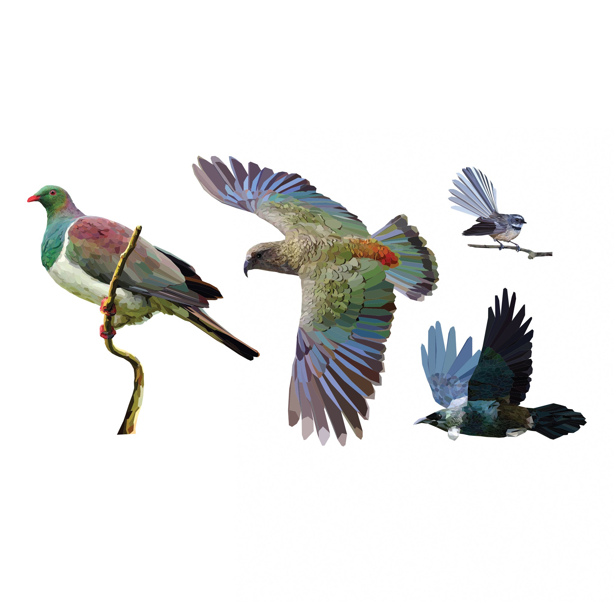 NZ Native Bird Mix – YDS STUDIO